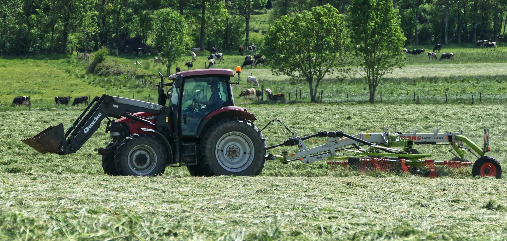 Tractoare de vanzare in Romania: Ghid complet