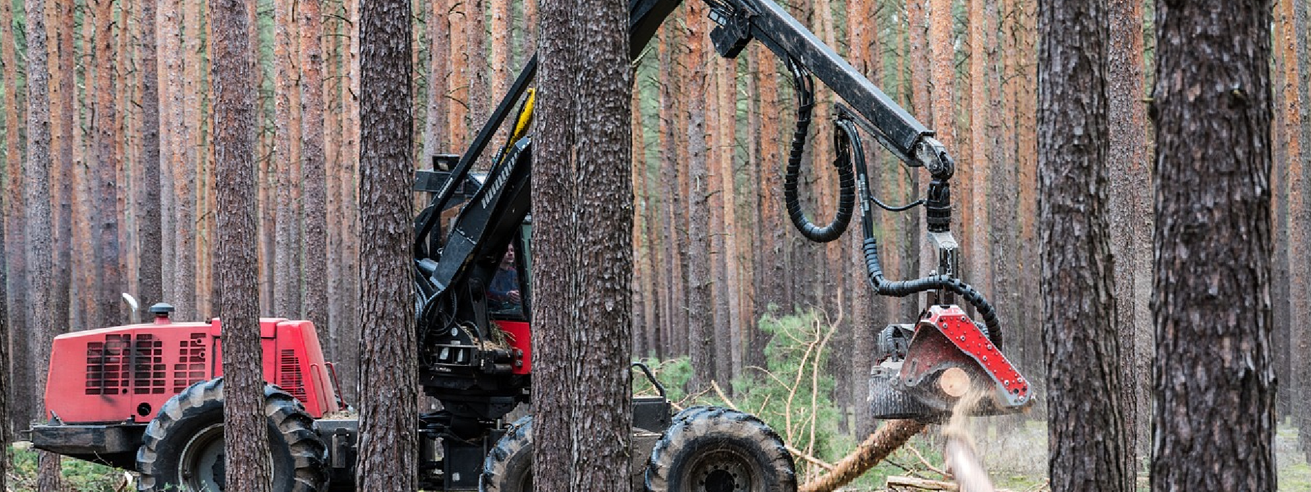 Top 3 utilaje forestiere